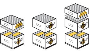 Formic Pro - 1 Dose Pack (2 Strips total) – Bee Great